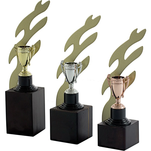 Copas, Trofeos, Placas, Medallas, Llaveros, Grabaciones especiales ...
